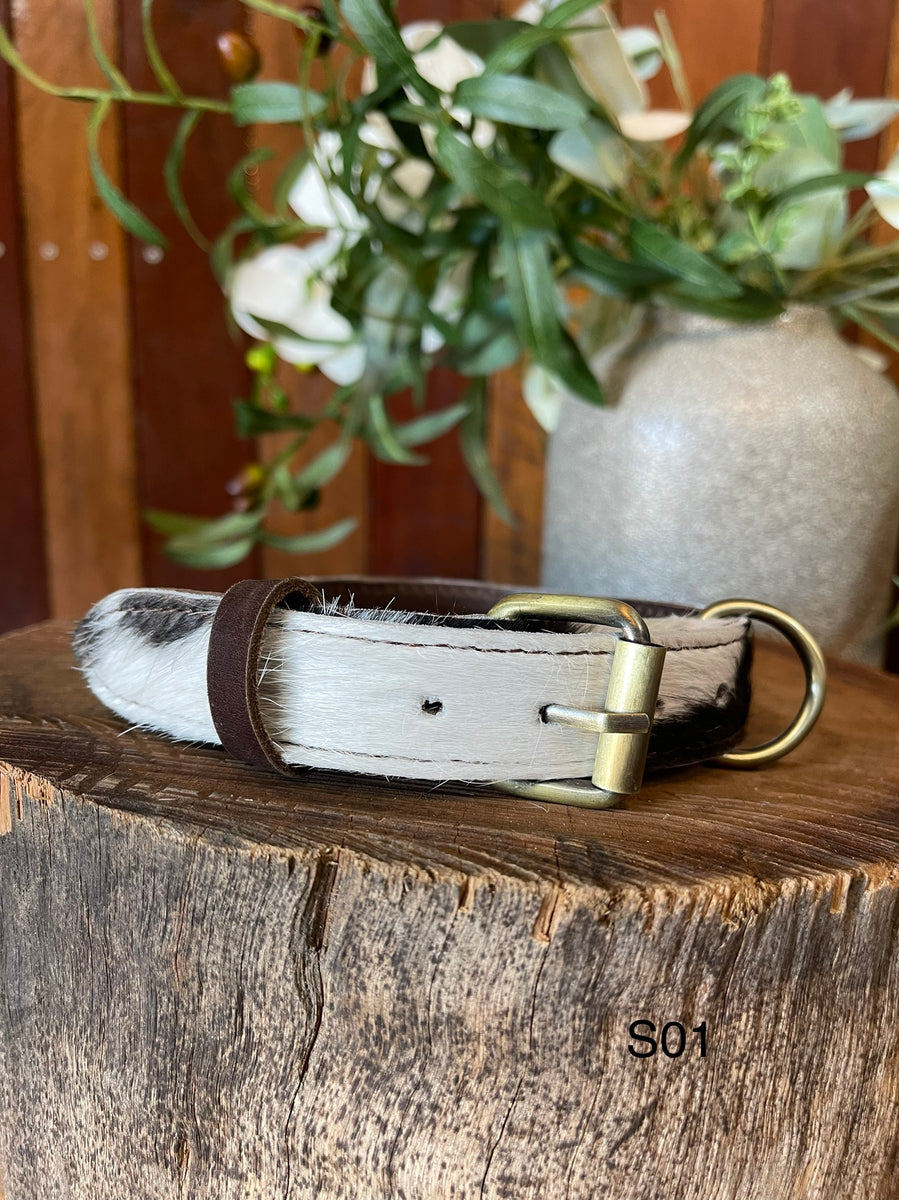 Collar - Small - S04 – Queen B Country